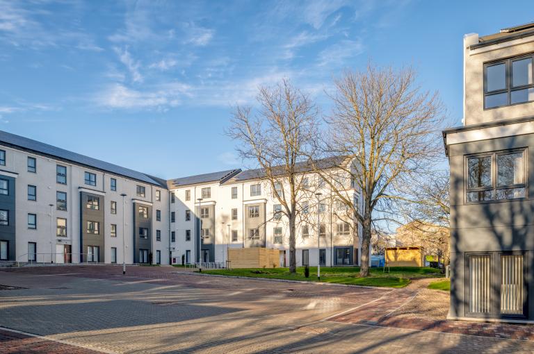 Robertson Timber Engineering | Engineered Timber | Robertson